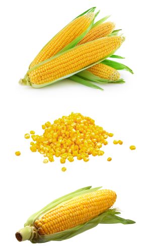 How to Protect Your Teeth from Corn on the Cob | Sky Dental